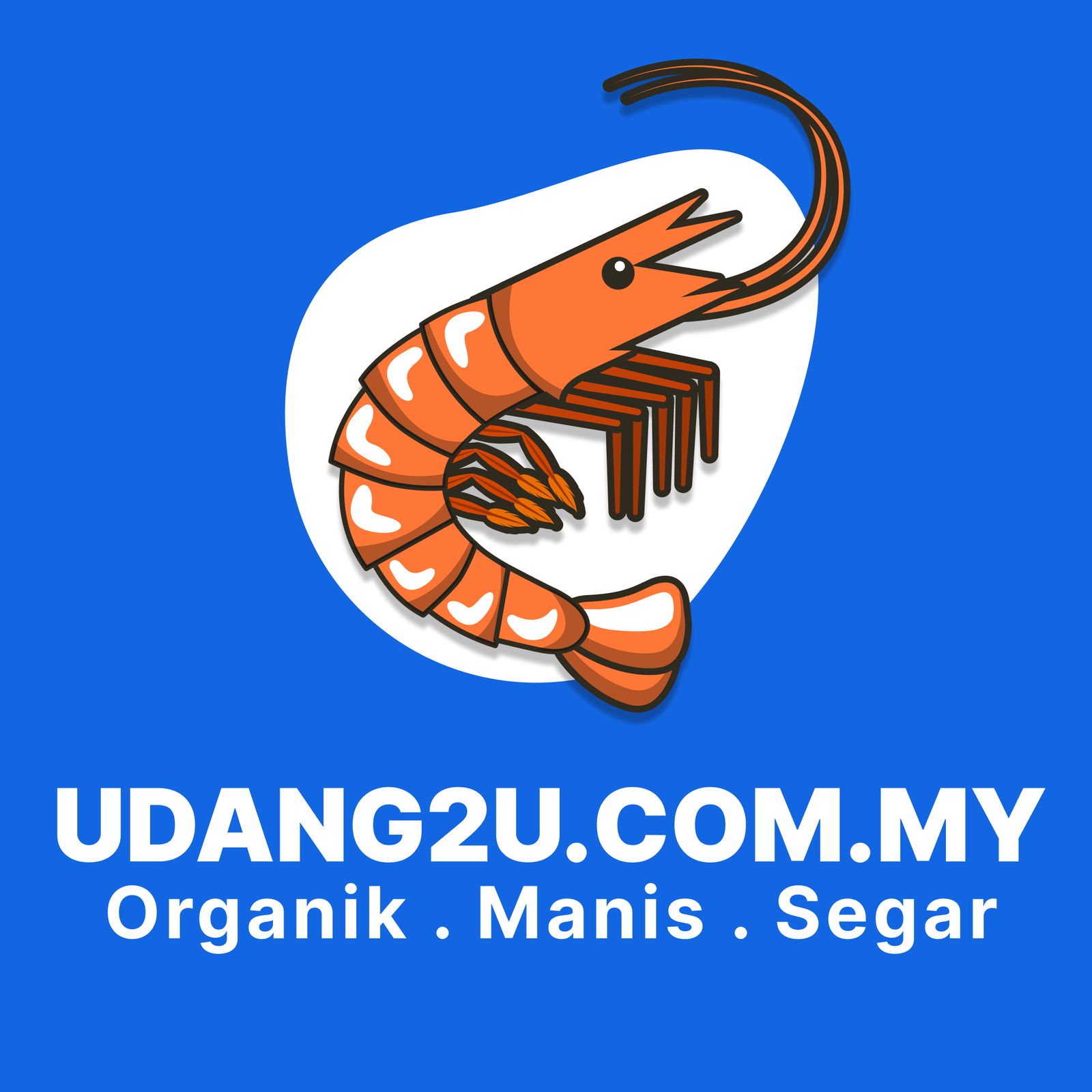 Pembekal Umpan Hidup, Udang Harimau & Udang Putih Segar